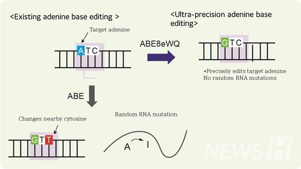 Developing Ultra-precision Gene Editing Technology