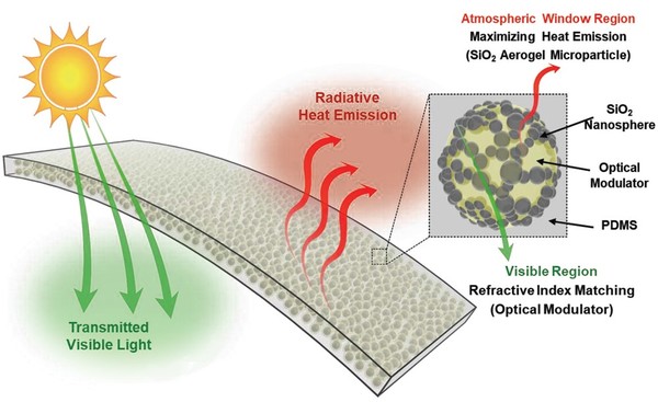 New Transparent Metamaterial for Thermal Management of Car and Solar Cell