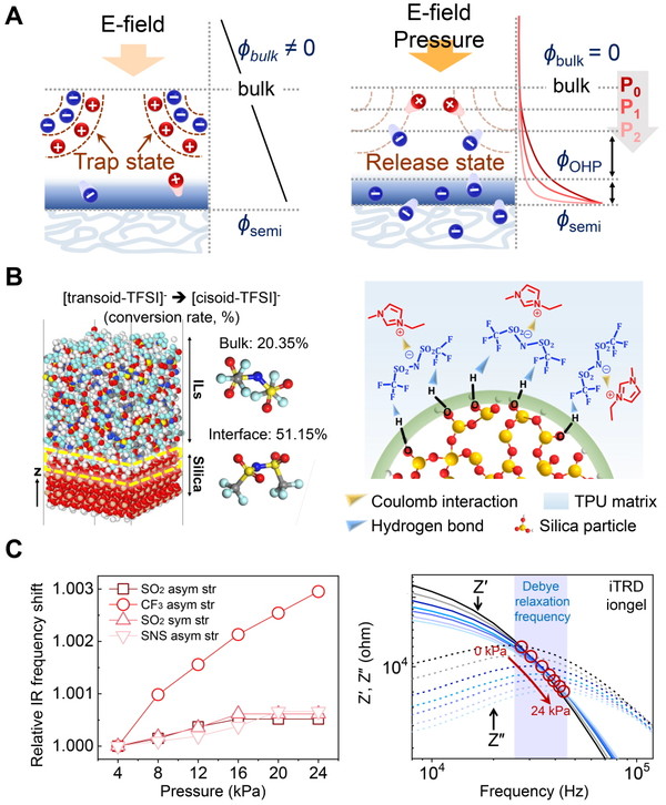 Developing a Memory-Augmented Artificial Tactile Nerve without Signal ...