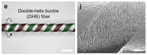 Developing Stretchable Wearable Textile Devices Based on Double Helix ...