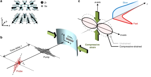 HYU ERICA Develops Ultrafast Target-Selective Light Signal Control ...